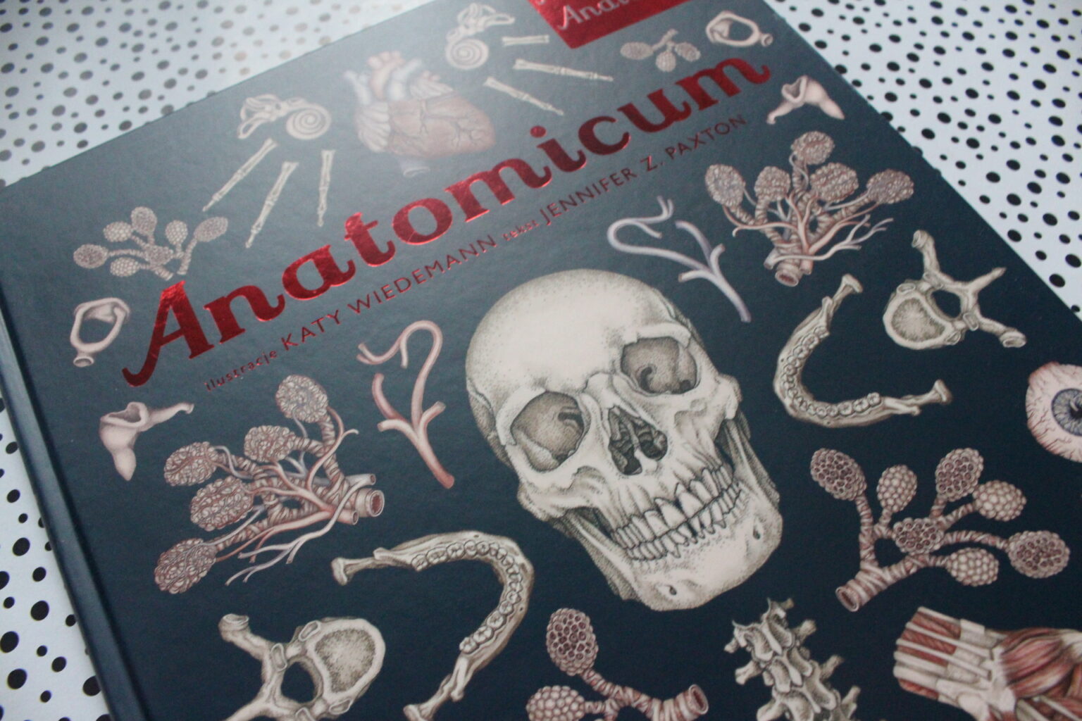 Anatomicum. Muzeum anatomii